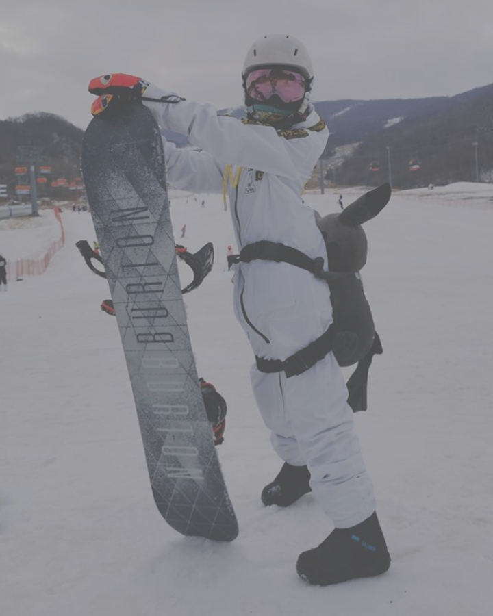 Snow Protection - Snowboard Safety Protective Snow Gear | Trojan WSS ...