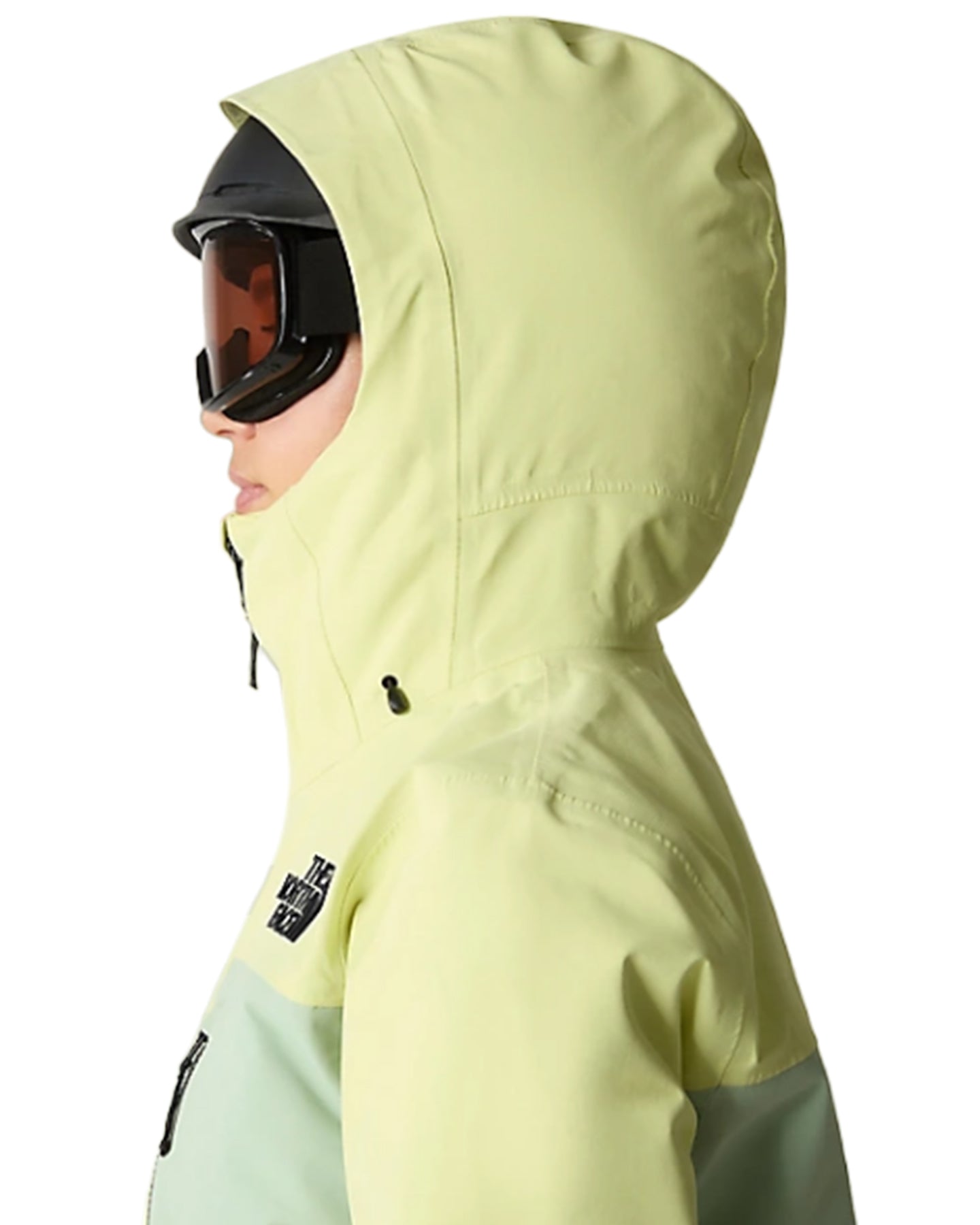 The North Face Women's Dragline Snow Jacket - Sun Sprite/Misty Sage ...