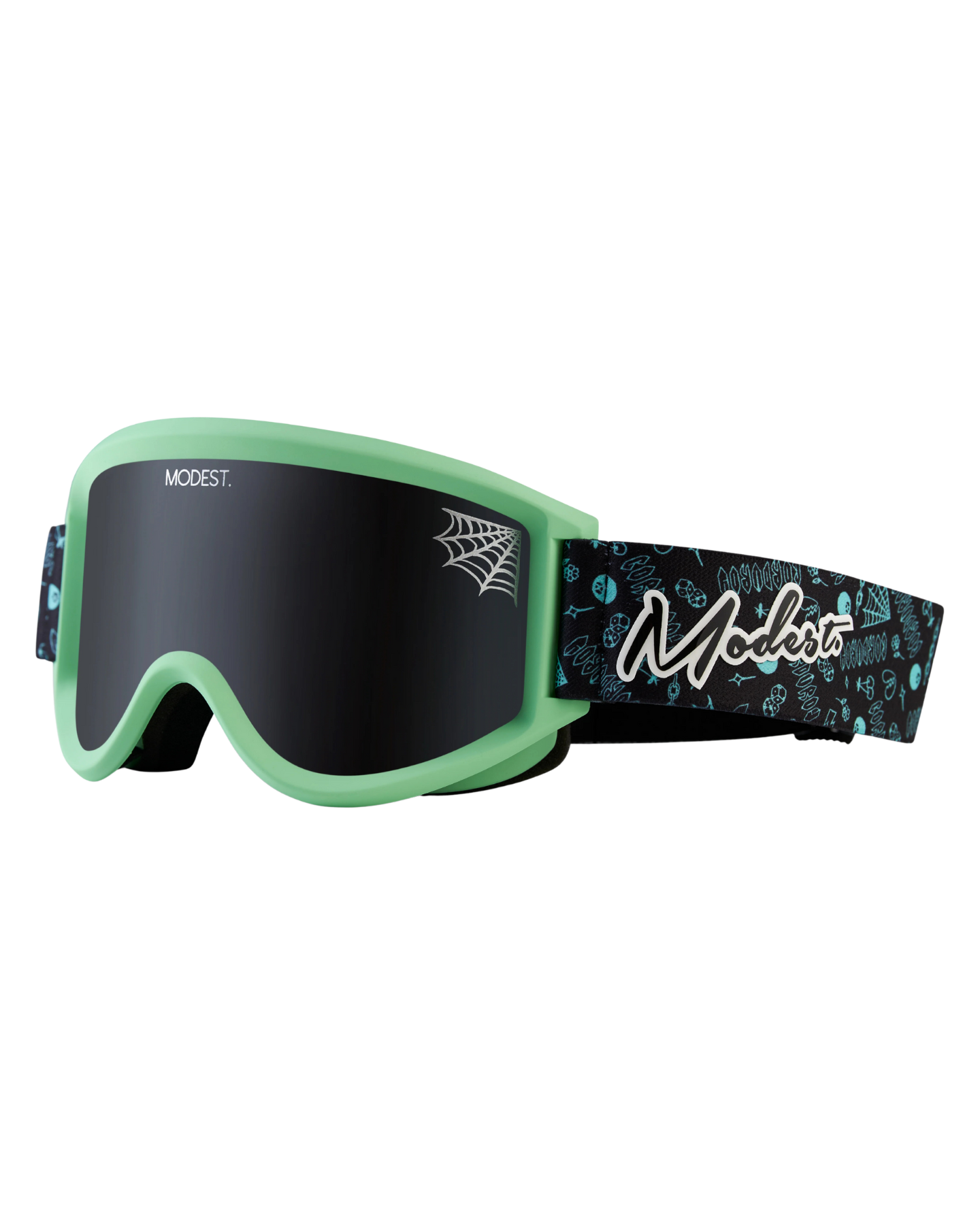 Modest Team Goggle | Snow Goggles – Trojan Wake Ski Snow